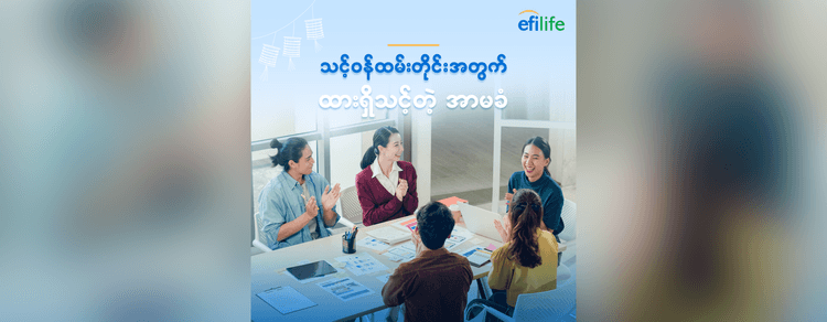 Excellent Fortune Insurance